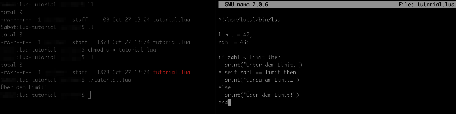 Lua-Tutorial | Die Grundlagen der Script-Sprache lernen - IONOS AT