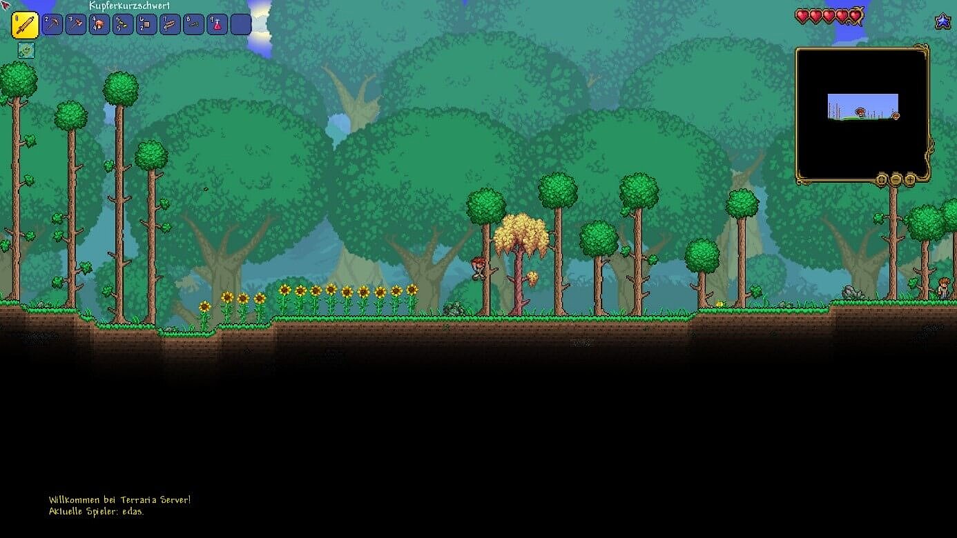 Terraria-Server: Hosting und Installation | Tutorial - IONOS AT